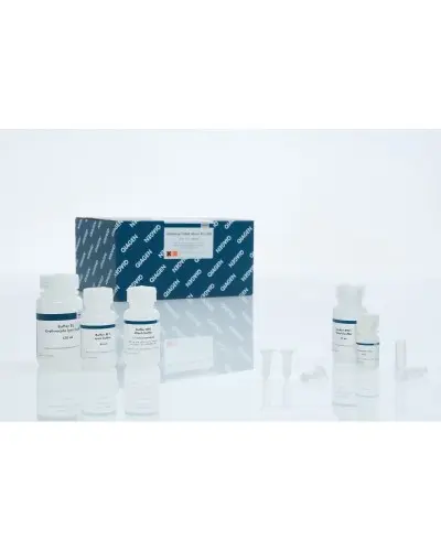 QIAAMP DNA MINI KIT QIAGEN 51306 - PACK DE 250 TESTS