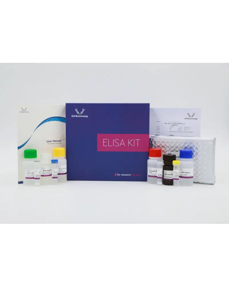 T3 ELISA (Triiodothyronine) Kit pour 96 tubes