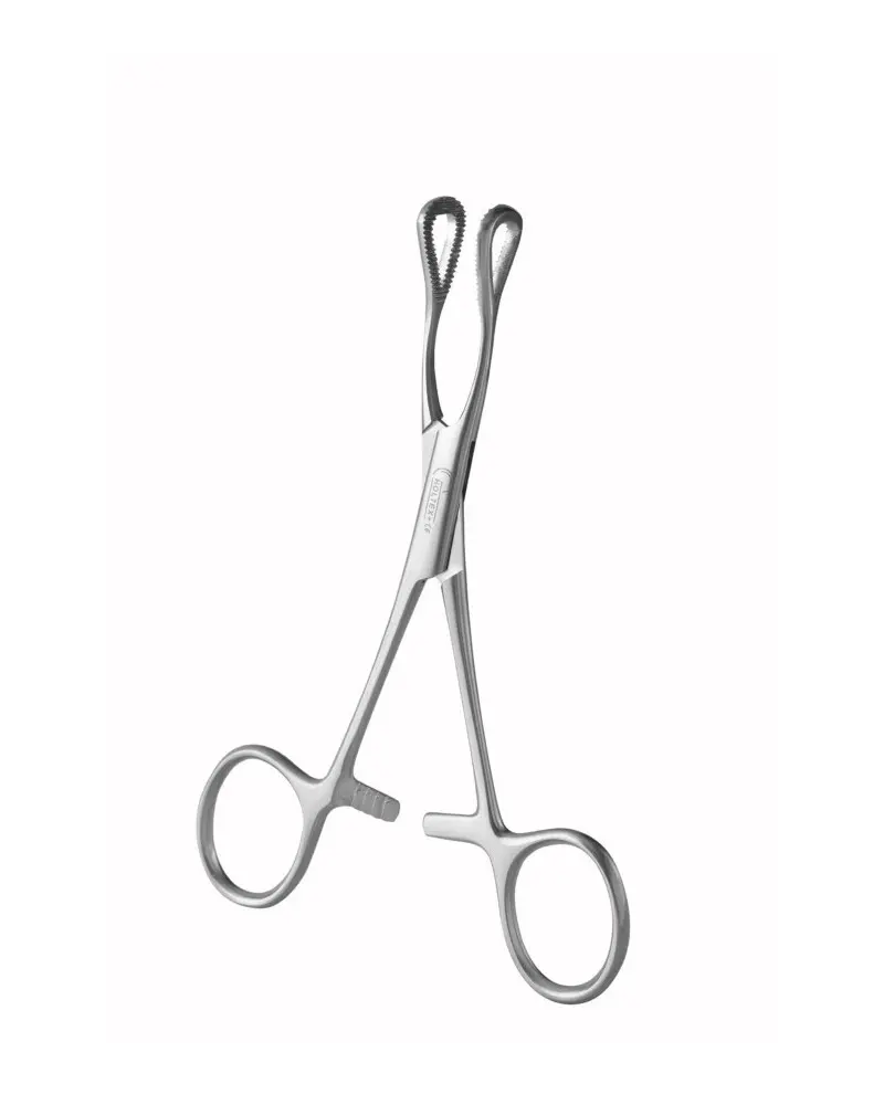 Pince en coeur, 25 cm